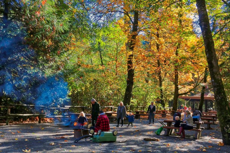 Goldstream Provincial Park | Visitor In Victoria