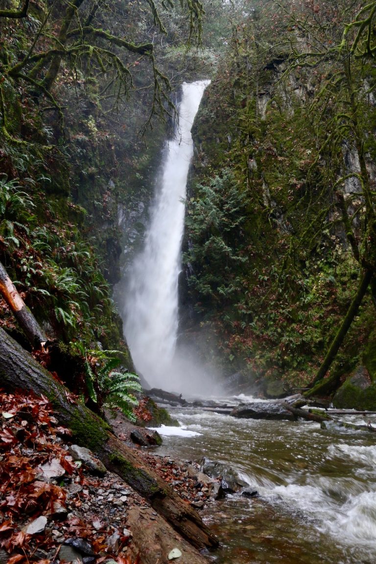 Goldstream Provincial Park | Visitor In Victoria