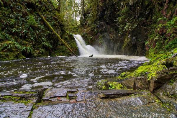 Goldstream Provincial Park | Visitor In Victoria