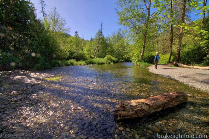 Goldstream Provincial Park | Visitor In Victoria