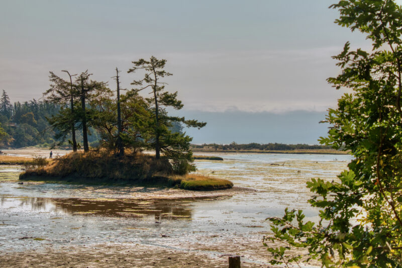 Witty's Lagoon Regional Park | Visitor In Victoria
