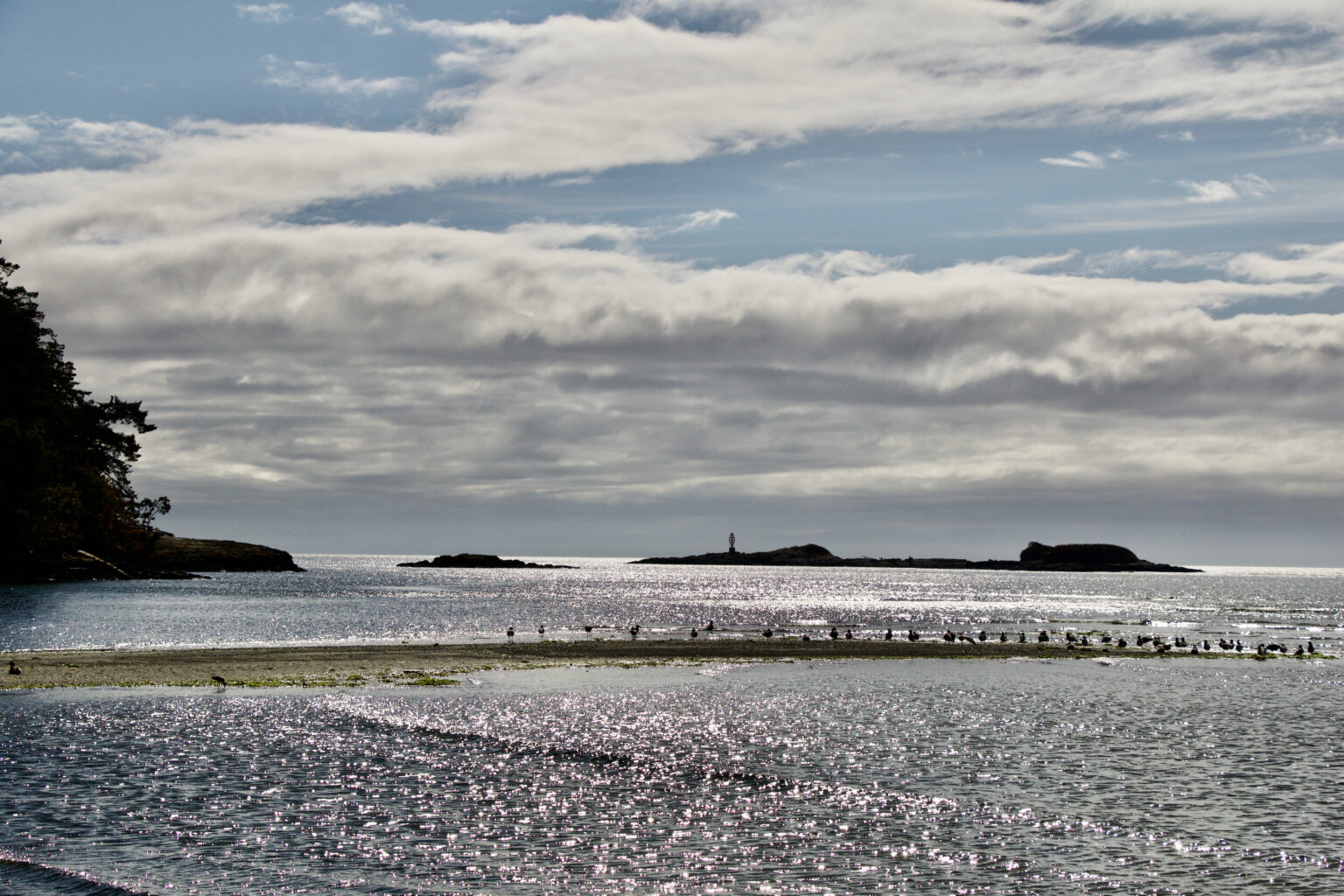 Witty's Lagoon Regional Park | Visitor In Victoria