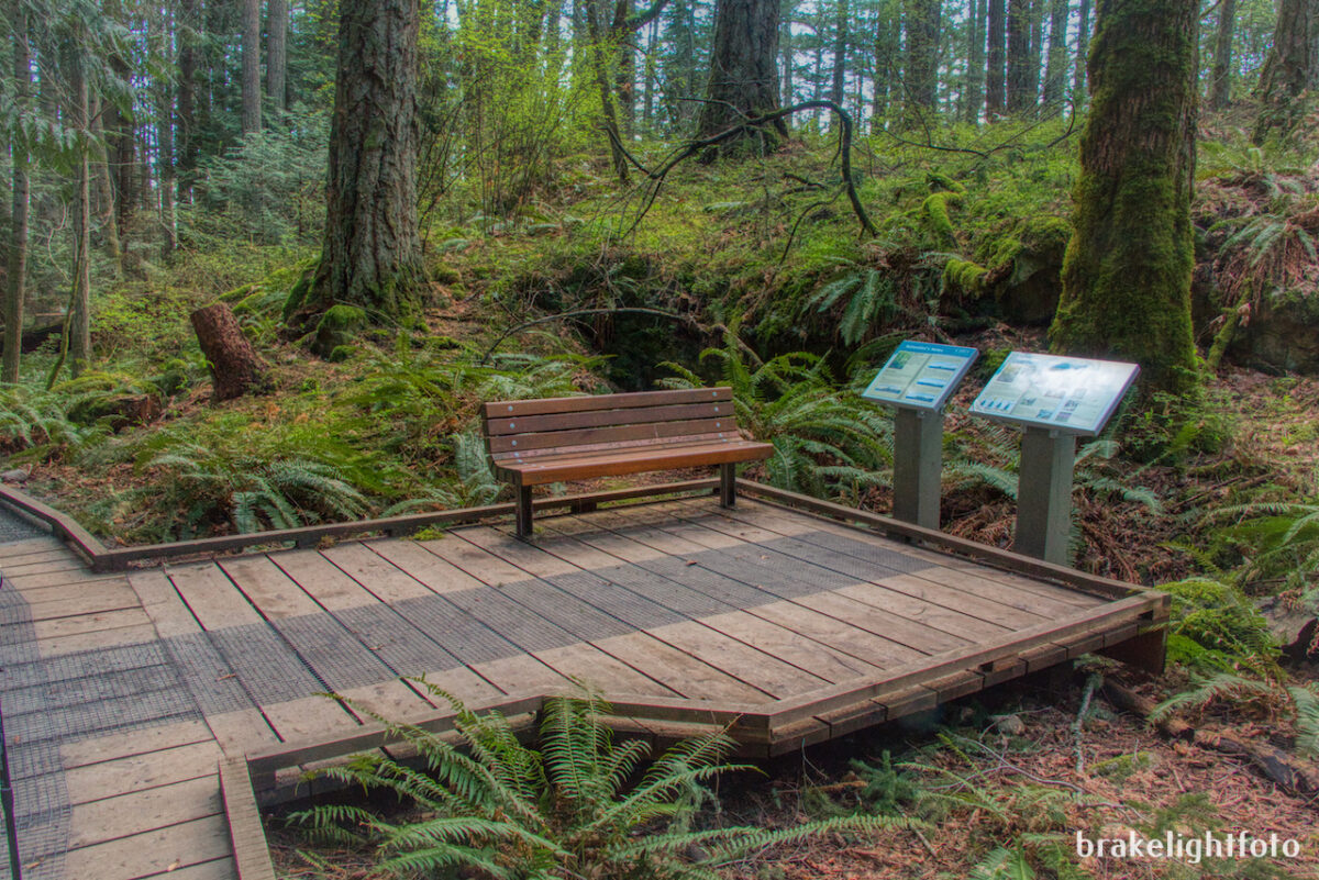 FRANCIS/KING REGIONAL PARK | Visitor In Victoria