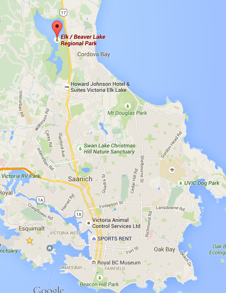 Elk Lake/Beaver Lake in Victoria, BC | Visitor In Victoria