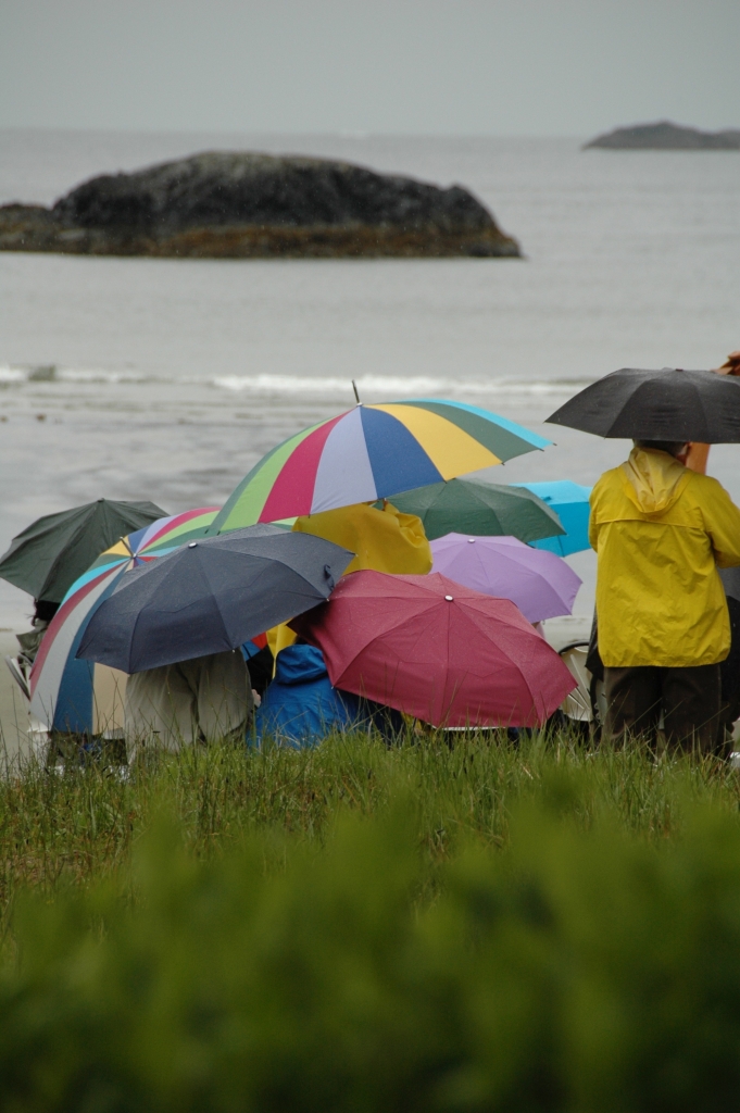 WEATHER IN VICTORIA | Visitor In Victoria