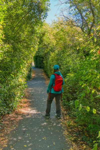 5 Best Walks in Downtown Victoria, BC | Visitor In Victoria