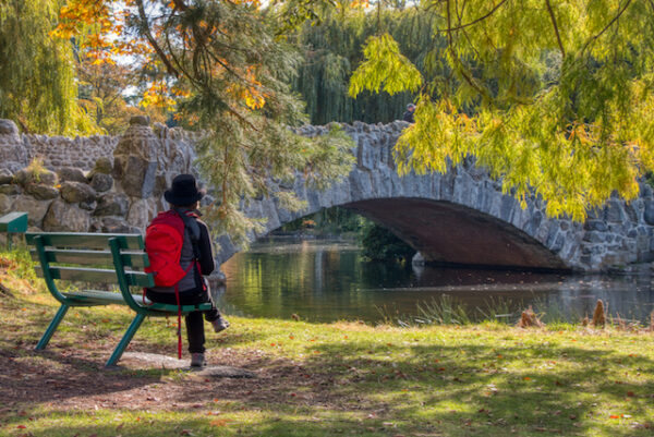 5 Best Walks in Downtown Victoria, BC | Visitor In Victoria