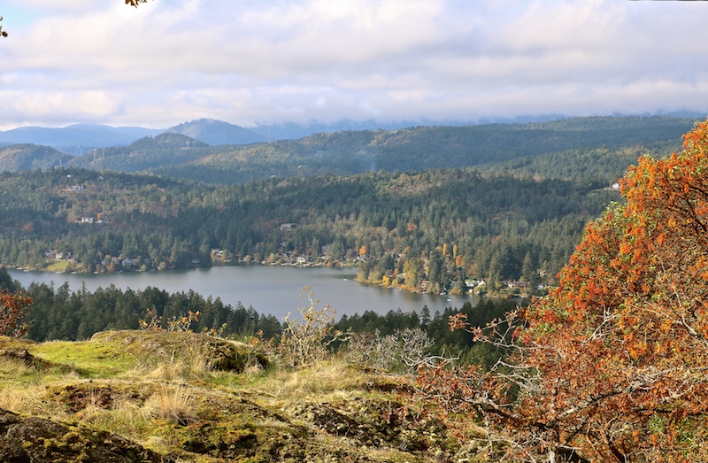 5 Best Overviews of Victoria | Visitor In Victoria