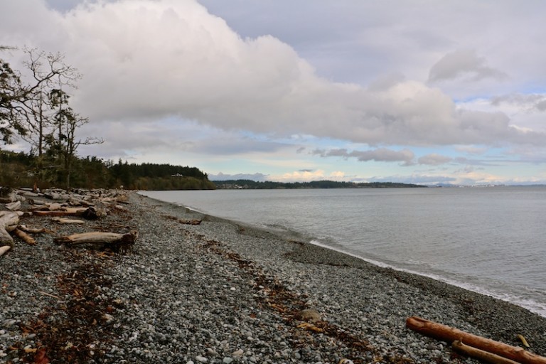 Devonian Regional Park | Visitor In Victoria