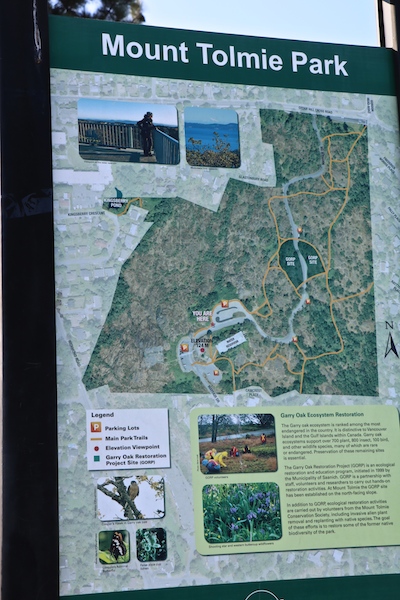 MT. TOLMIE – BREATHTAKING VIEWS! | Visitor In Victoria