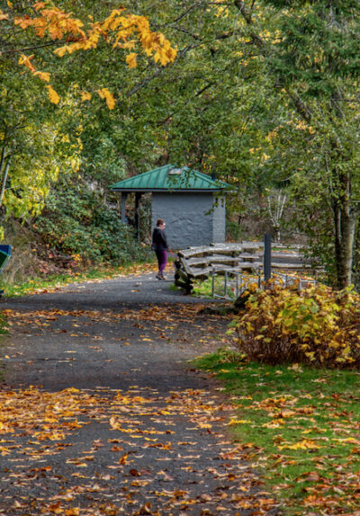 MOUNT WORK REGIONAL PARK | Visitor In Victoria