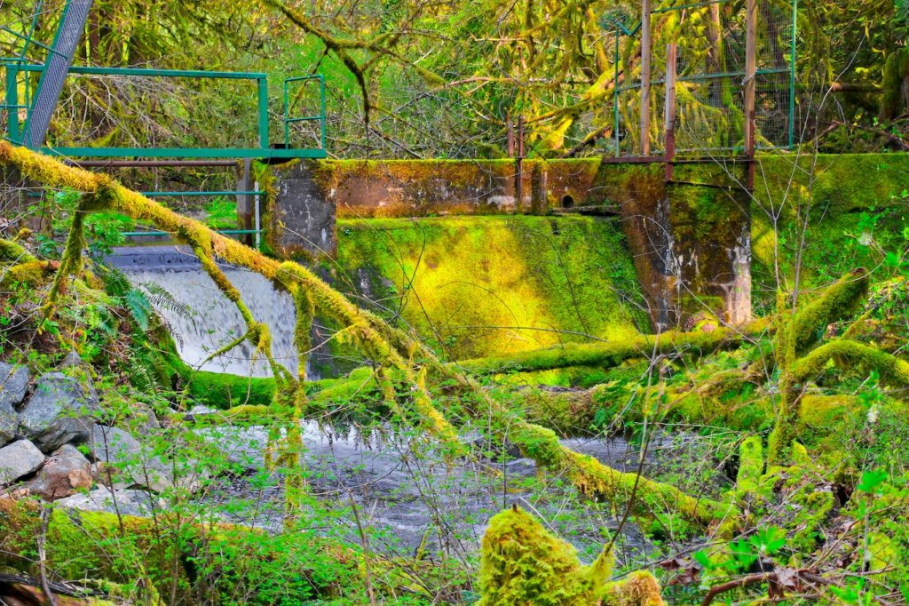TOD INLET, A HIDDEN GEM | Visitor In Victoria
