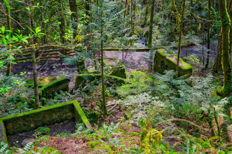 TOD INLET, A HIDDEN GEM | Visitor In Victoria