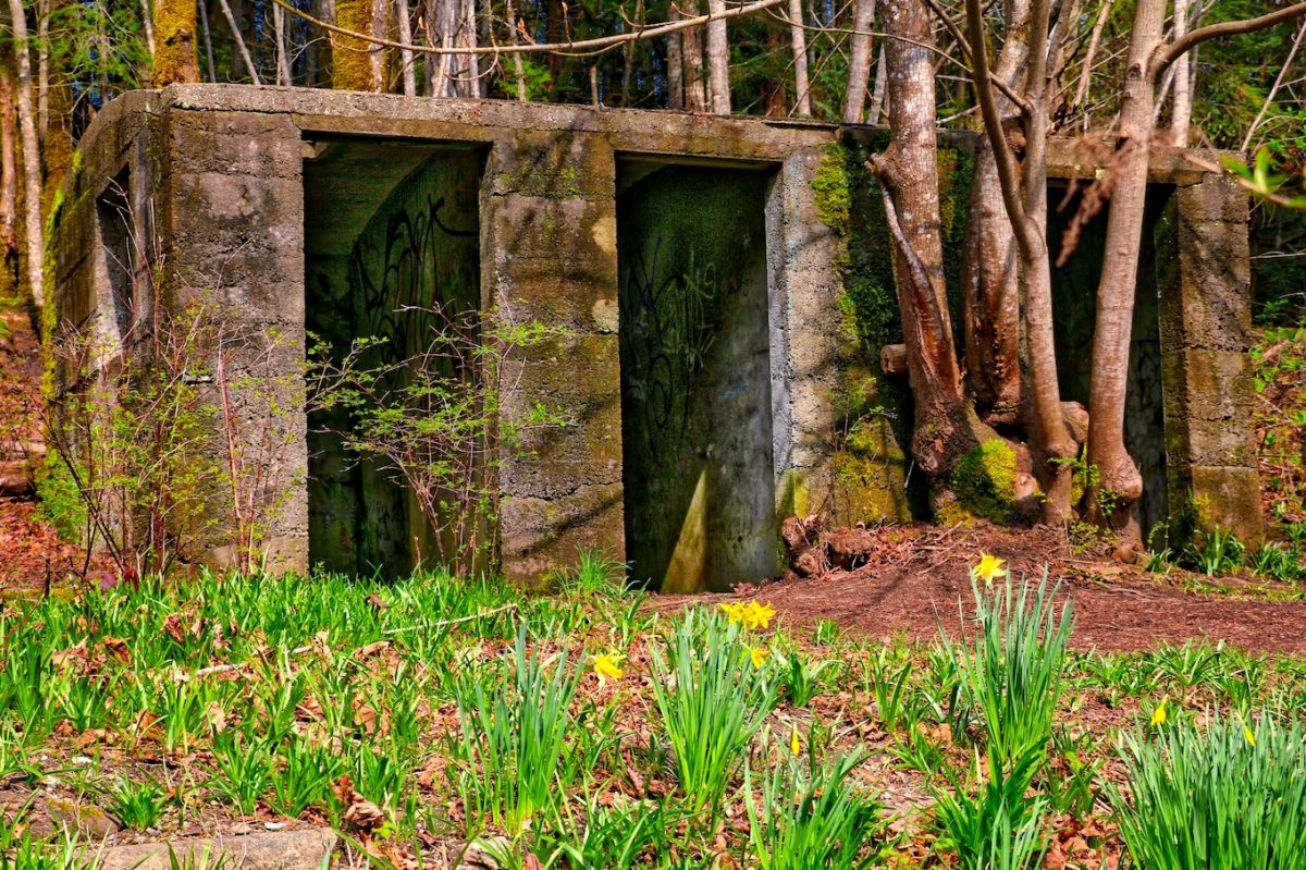 TOD INLET, A HIDDEN GEM | Visitor In Victoria