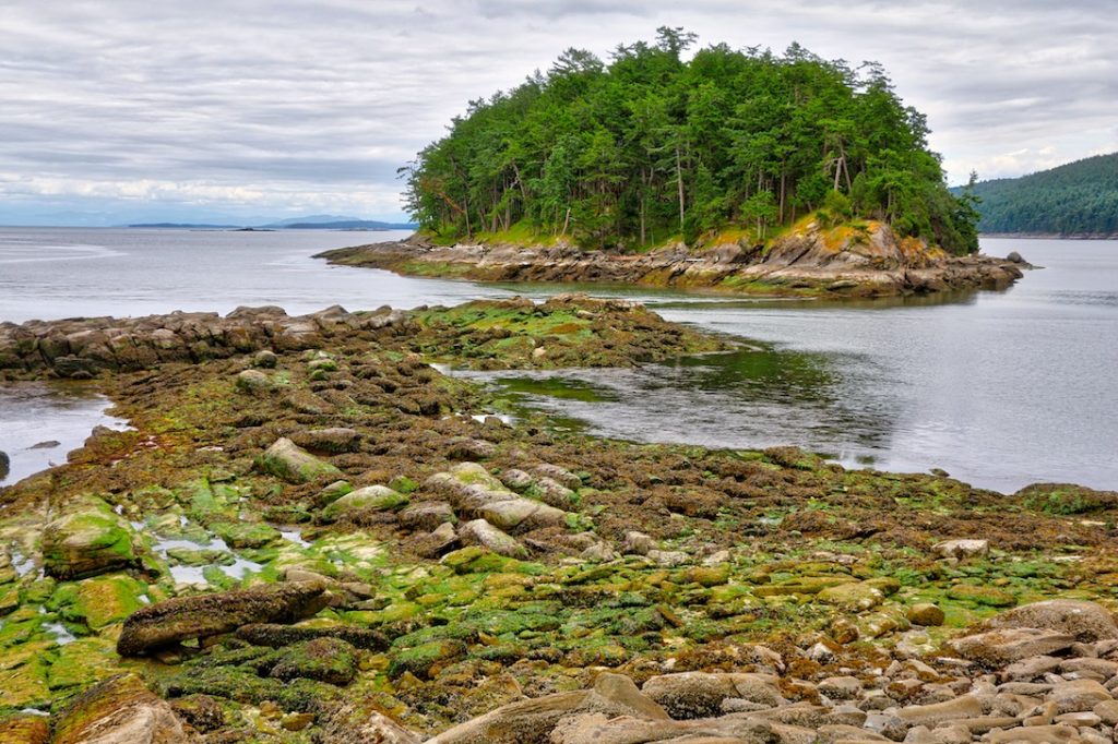 Mayne Island Adventures | Visitor In Victoria