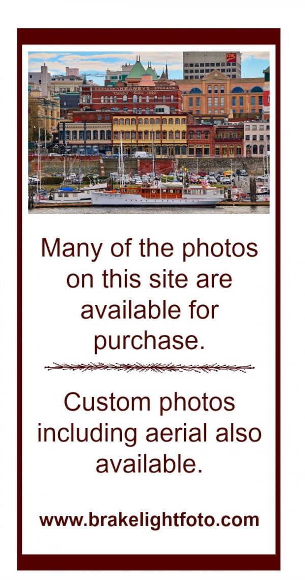 HOME | Visitor In Victoria