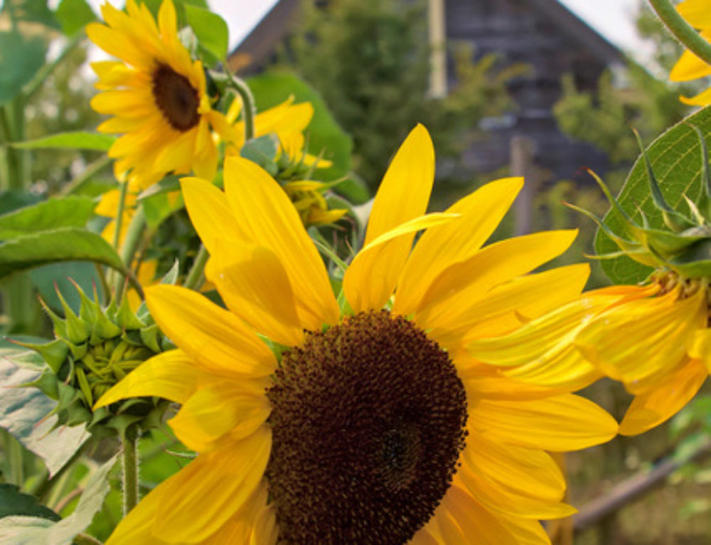 Imax Theatre in the Royal BC Museum | Visitor In Victoria