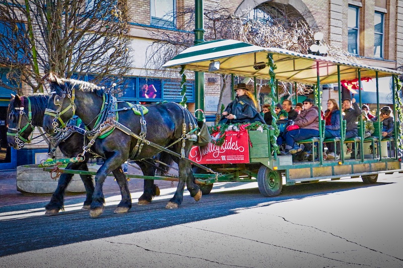 HORSE DRAWN TROLLEY RIDES | Visitor In Victoria