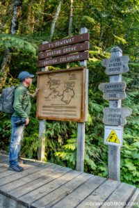 AVATAR GROVE – PORT RENFREW | Visitor In Victoria