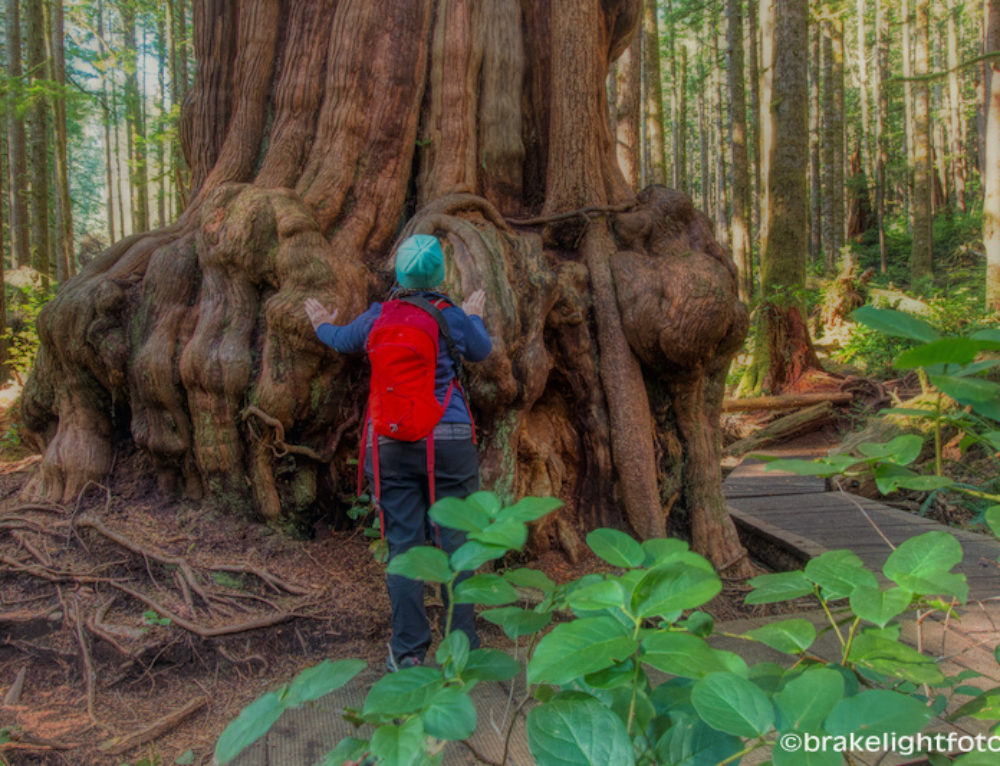 WHIPPLETREE JUNCTION | Visitor In Victoria