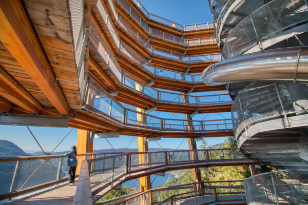 ADVENTURE AT THE MALAHAT SKYWALK | Visitor In Victoria