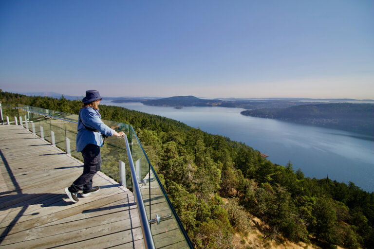 ADVENTURE AT THE MALAHAT SKYWALK | Visitor In Victoria