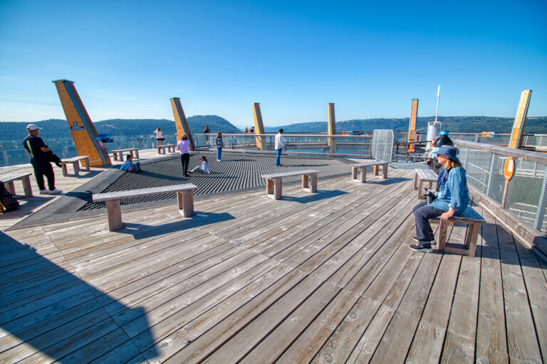 ADVENTURE AT THE MALAHAT SKYWALK | Visitor In Victoria