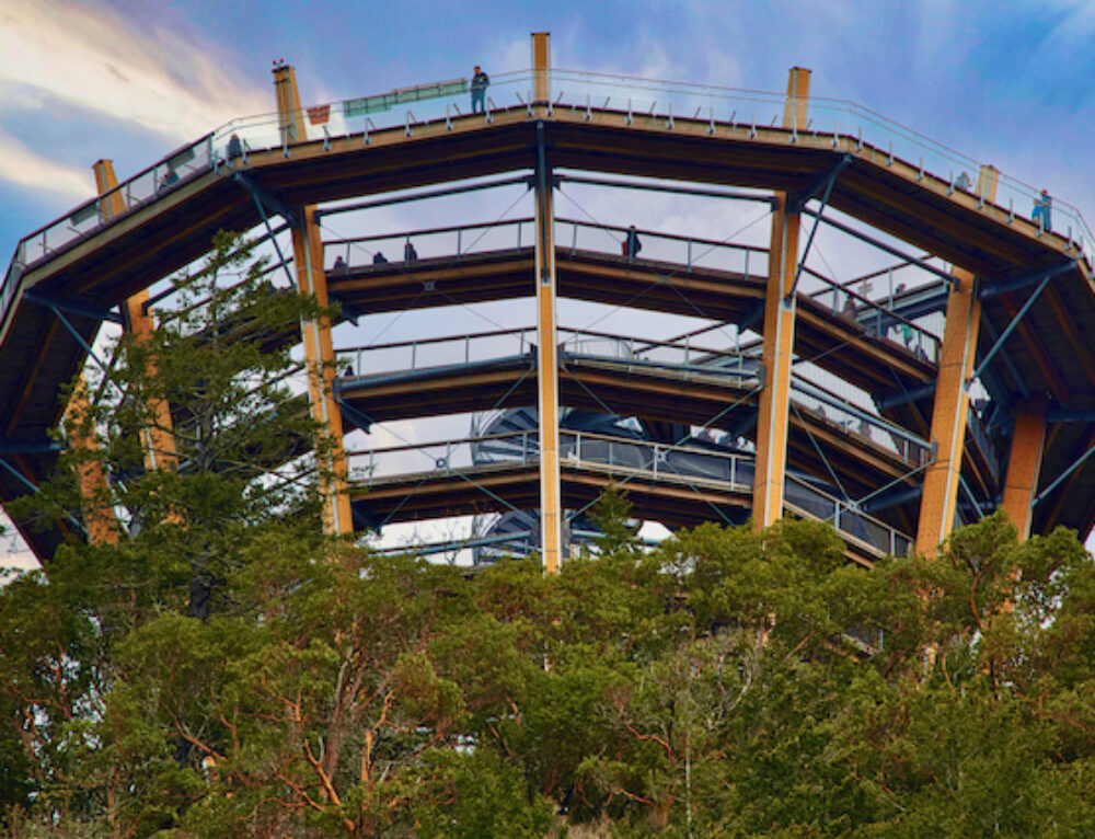 MARINA’S & BOAT RENTALS AROUND VICTORIA | Visitor In Victoria