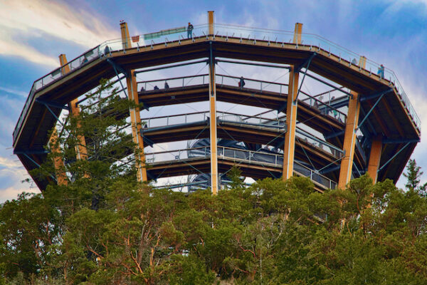 ADVENTURE AT THE MALAHAT SKYWALK | Visitor In Victoria