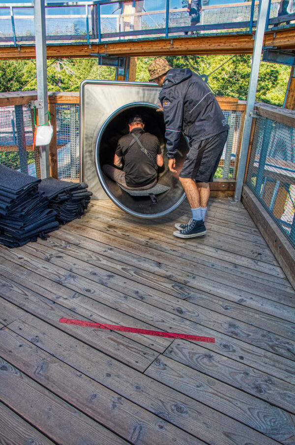 ADVENTURE AT THE MALAHAT SKYWALK | Visitor In Victoria