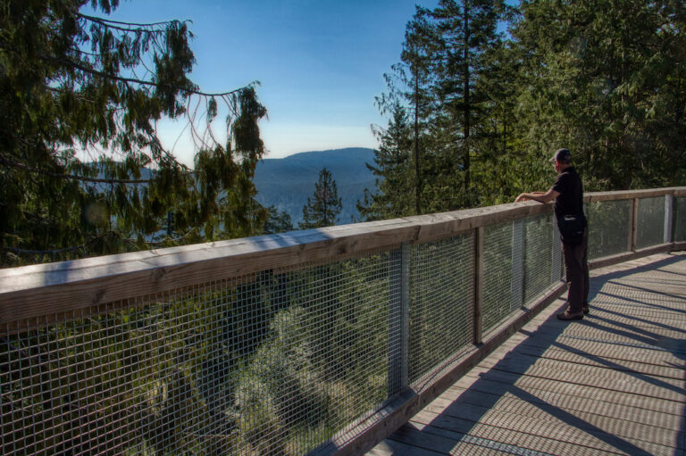 ADVENTURE AT THE MALAHAT SKYWALK | Visitor In Victoria