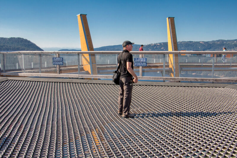 ADVENTURE AT THE MALAHAT SKYWALK | Visitor In Victoria